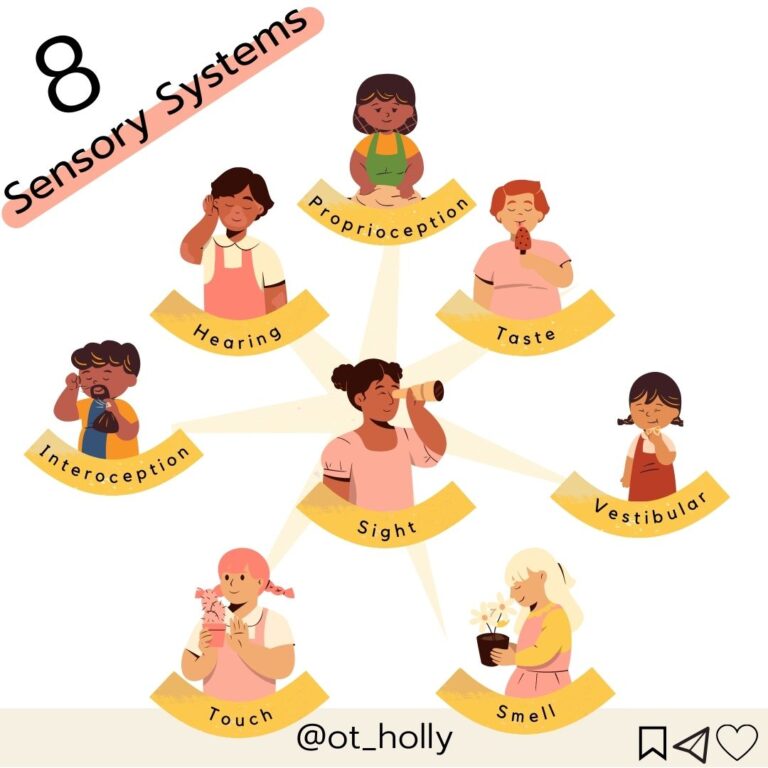 Brain Breaks vs. Sensory Safe Classrooms - Toddler Development